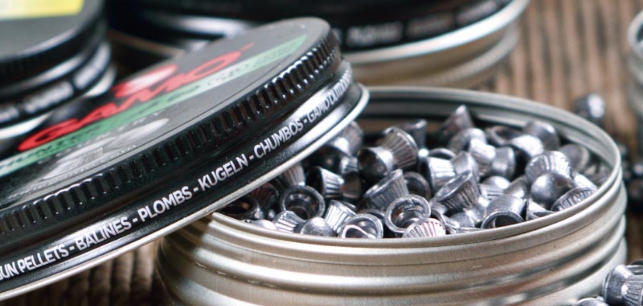 Home - Gamo Airguns Deutschland